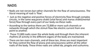 Kundalini | PPTX