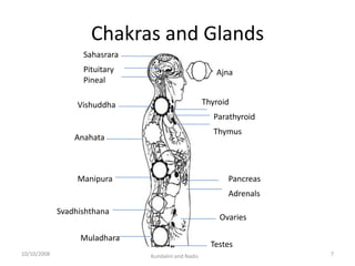 Kundalini And Chakras | PPTX