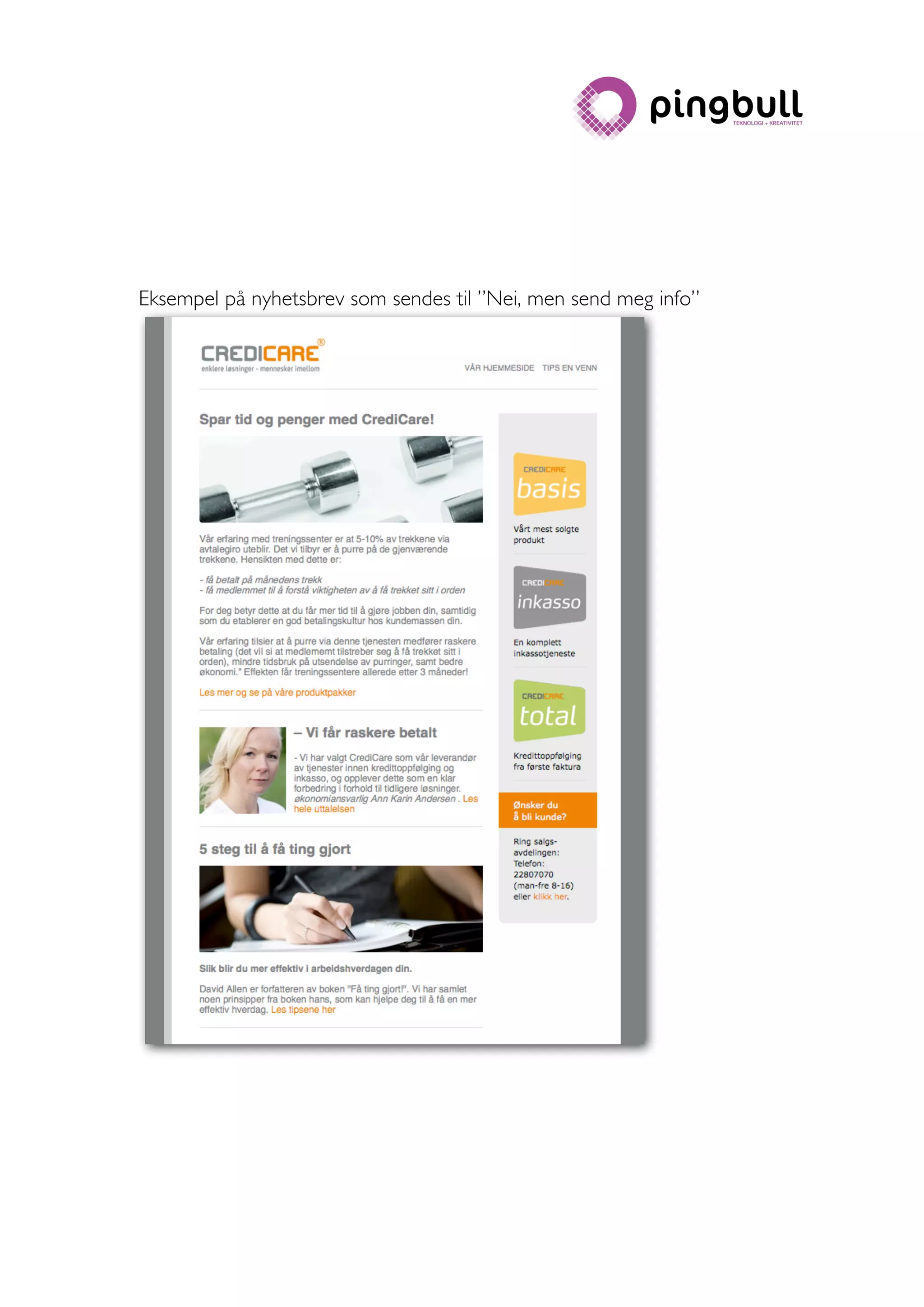 Kundecase – Credi Care | PDF