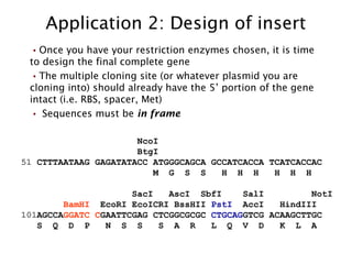 recombinant DNA technology enzymes | PPT