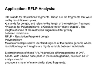 recombinant DNA technology enzymes | PPT