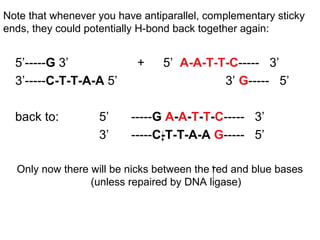 recombinant DNA technology enzymes | PPT