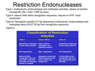 recombinant DNA technology enzymes | PPT