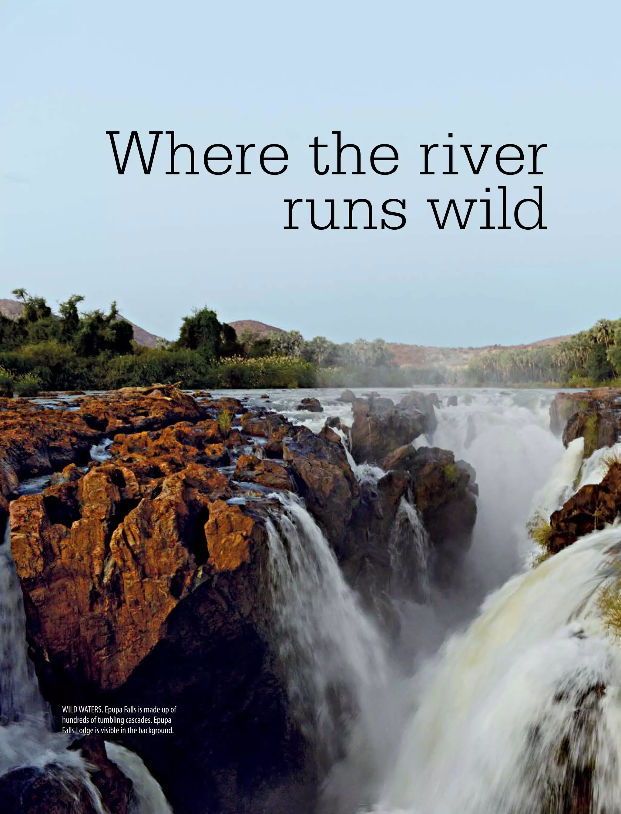 Where the river runs wild | PDF
