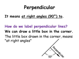 Kungfu math p4 slide20 (lines)pdf | PDF | Science
