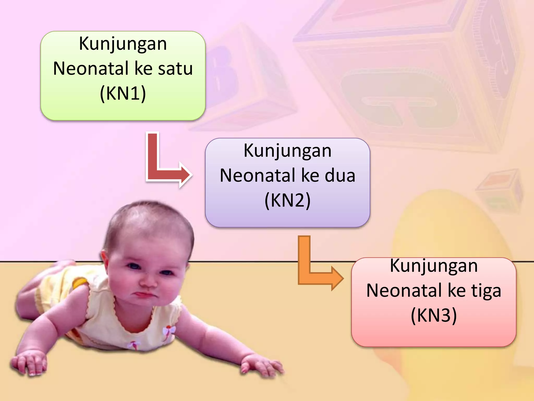 Kunjungan neonatus & bbl (yona) | PPTX