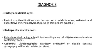 Urolithiasis in Ruminants | PPTX