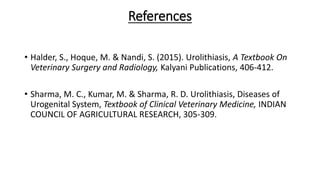 Urolithiasis in Ruminants | PPTX