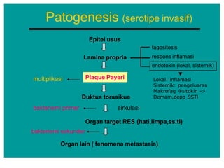 kupdf.net_demam-tifoidppt.pdf