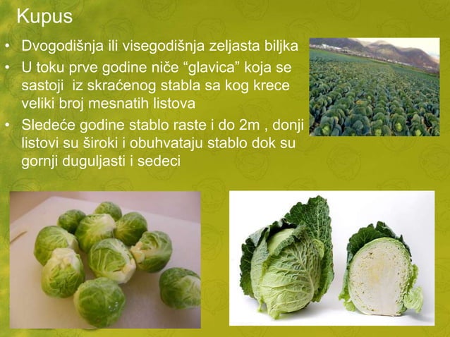 Kupusi i mahunarke | PPT