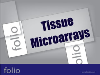Tissue Microarray presentation | KEY