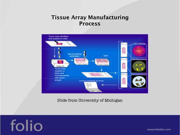 Tissue Microarray presentation