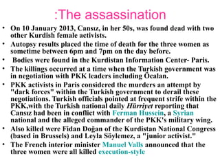 Kurdish activists assassination | PPS
