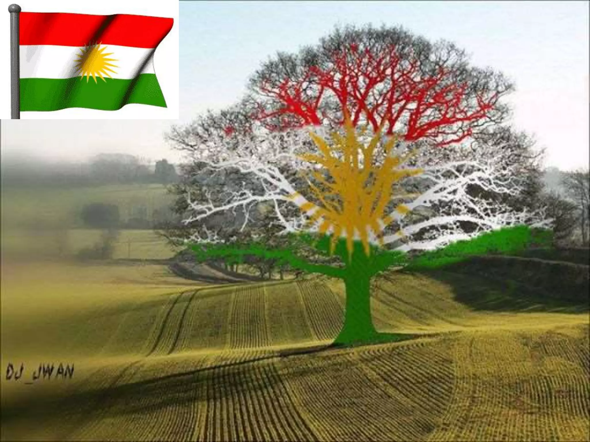 Kurdish culture and (Language) | PPTX