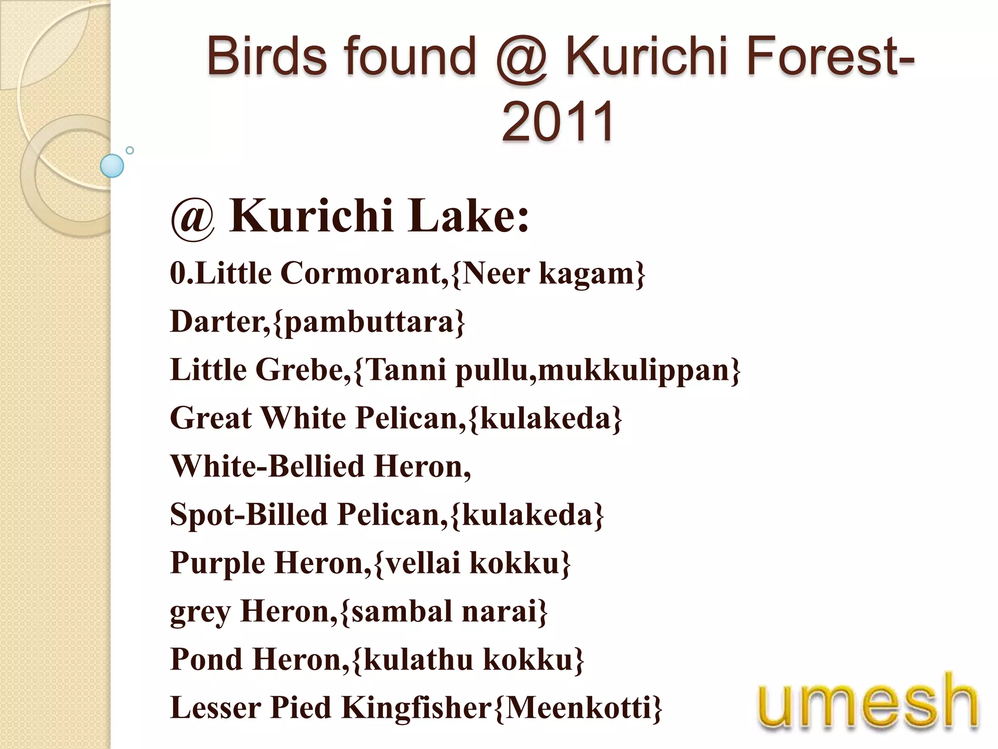 Kurichi forest report(umesh) 2011 | PPTX | Birdwatching | Hobbies ...