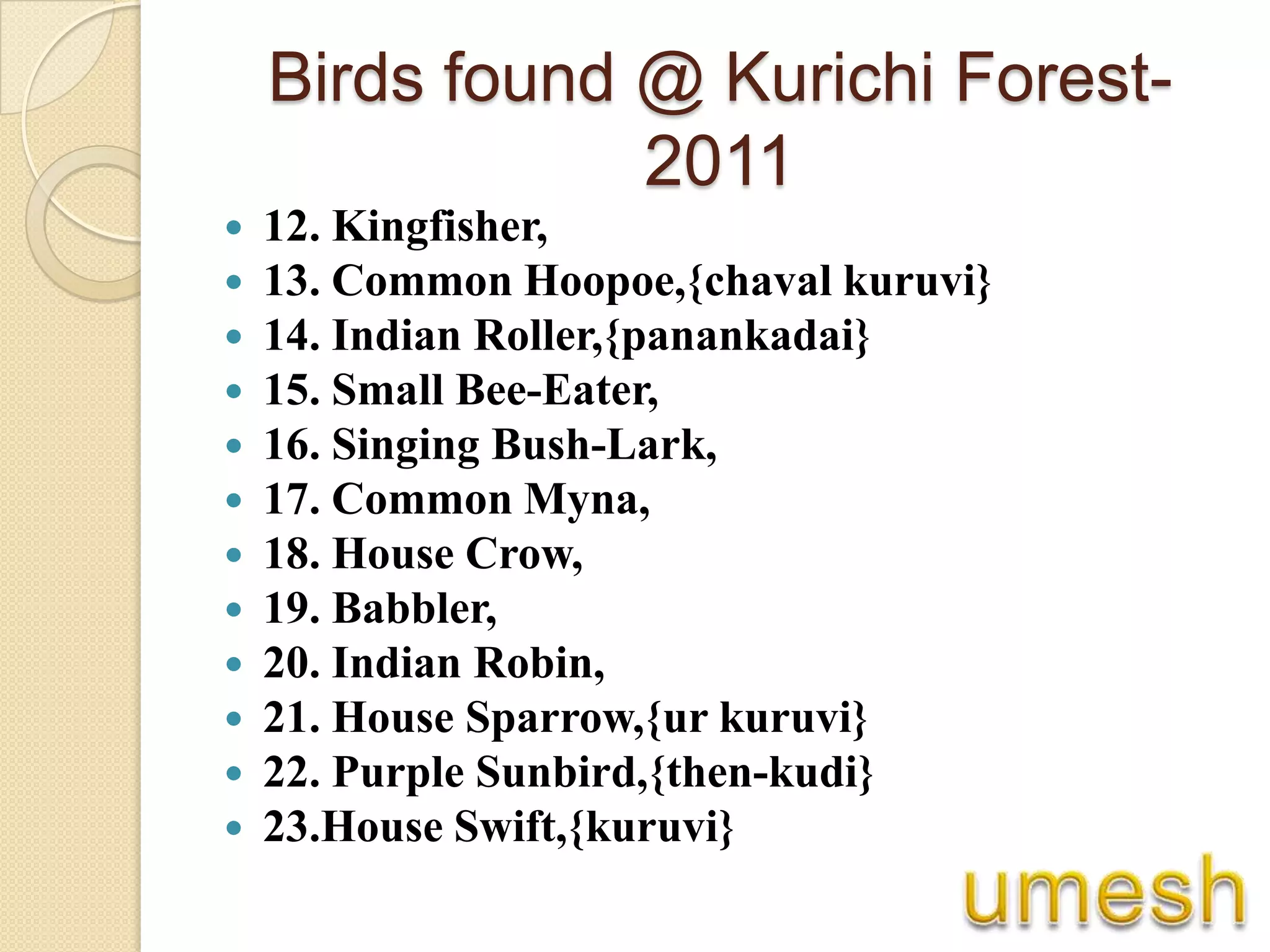 Kurichi forest report(umesh) 2011 | PPTX | Birdwatching | Hobbies ...
