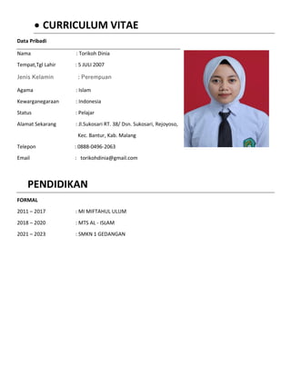 Kurikulum vitae | PDF