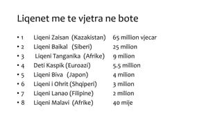 Kuriozitete Mbi Liqenet Pptx