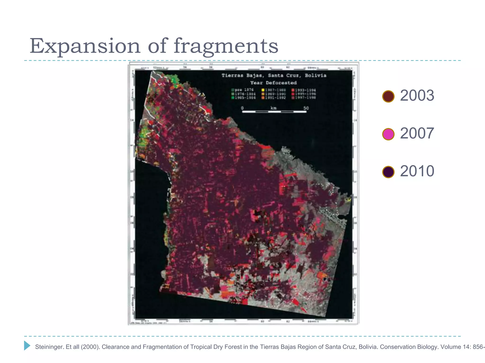 Patterns of Deforestation | PPTX