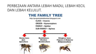 KURSUS ASAS KELULUT | PPTX