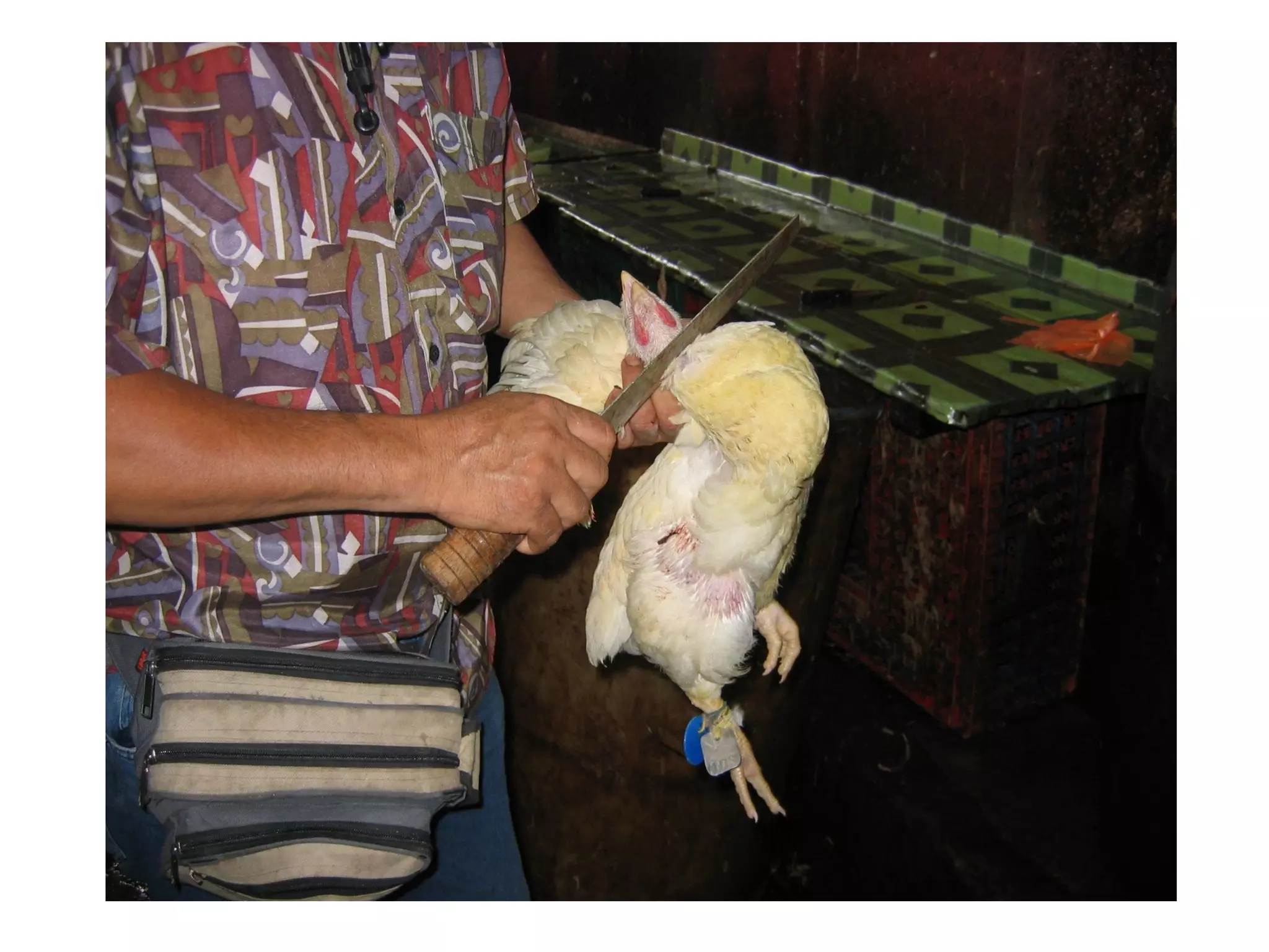 Kursus sembelihan | PPT