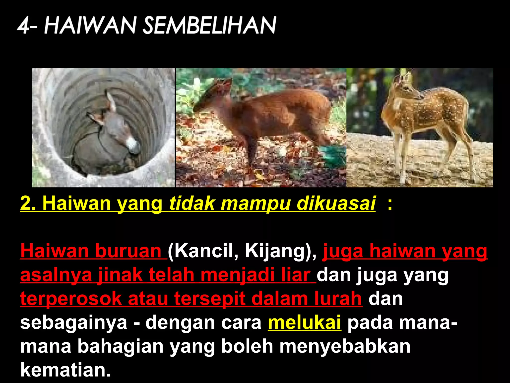 Kursus sembelihan | PPT