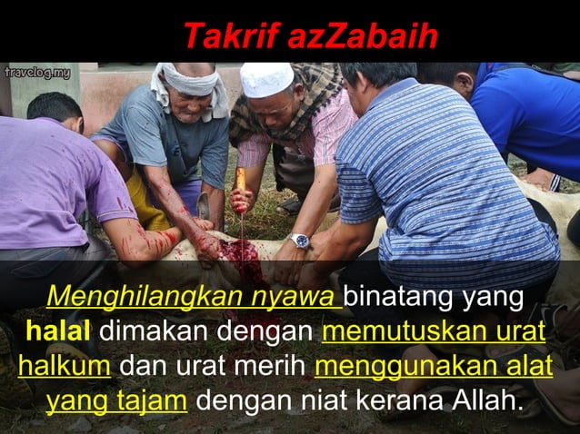 Kursus sembelihan | PPT