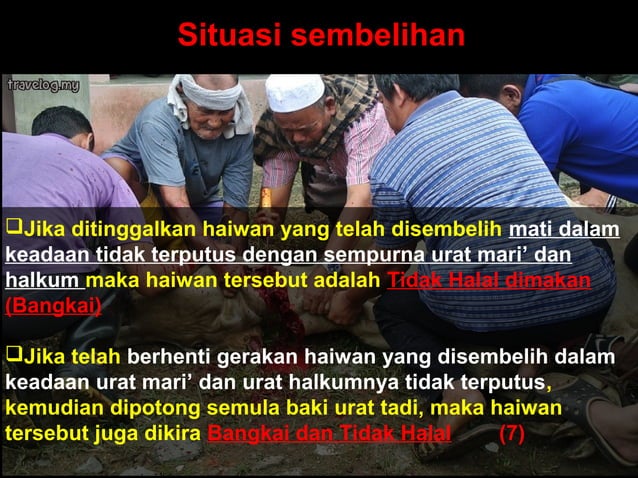Kursus sembelihan | PPT