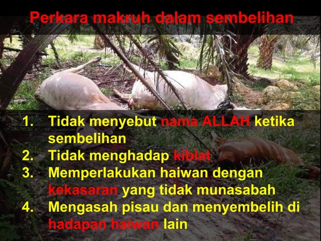Kursus sembelihan | PPT