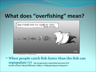 overfishing 10-8 2011 | PPT