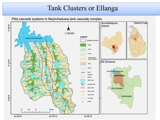 Restoration of Tank Cascade Systems for Productivity and Sustainability ...