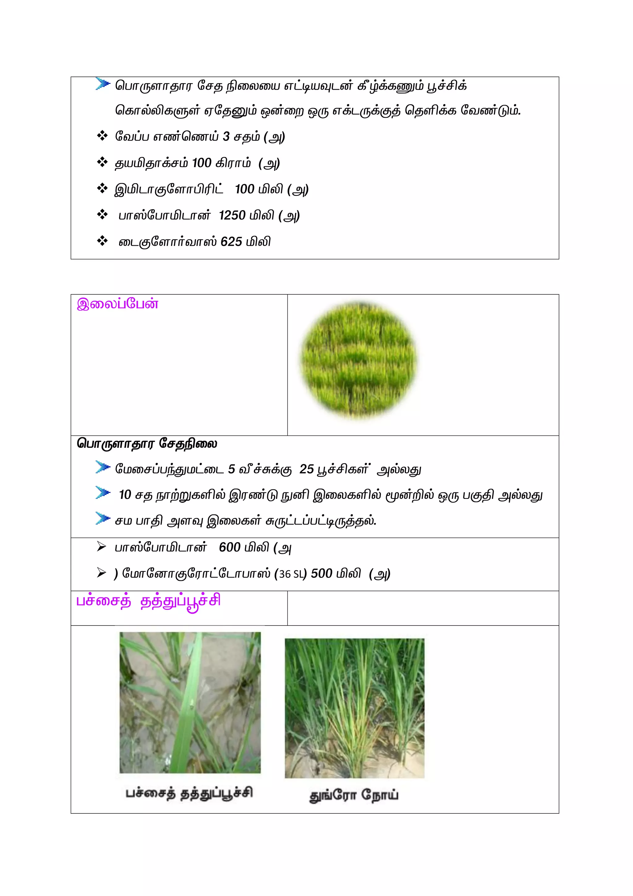Kuruvai paddy technology | PDF