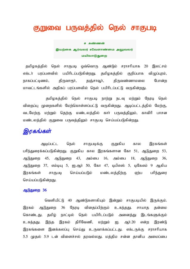 Kuruvai paddy technology | PDF