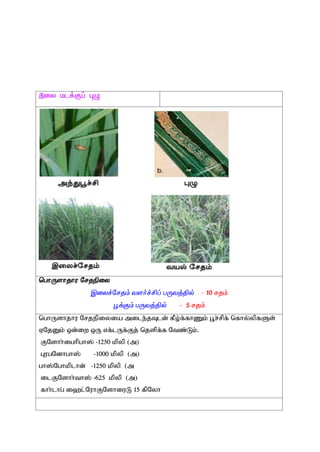 Kuruvai paddy technology | PDF