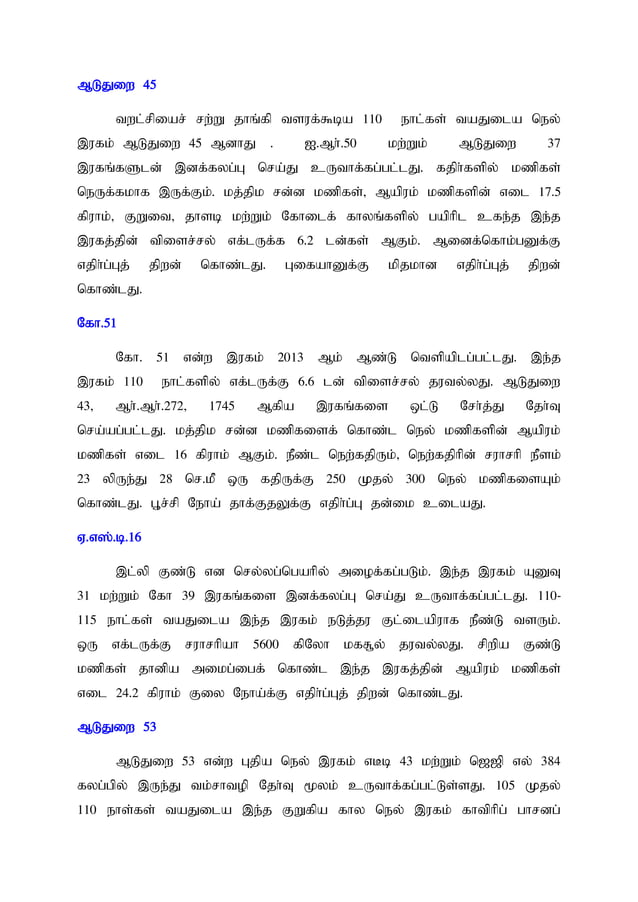 Kuruvai paddy technology | PDF