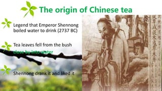 Chinese Tea Culture By Kusiima Patric | PPTX