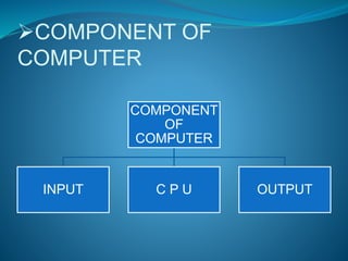 Computer Basic Knowledge Kush Sharma Pptx