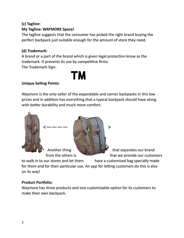 Business Studies Project Marketing Management Class 12 CBSE | PDF ...