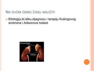 Kušingov sindrom,Adisonova bolest | PPTX
