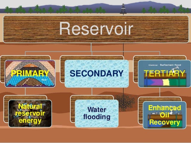 Reservoir Primary Recovery Mechanisms