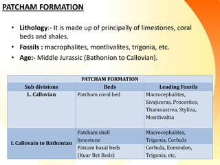 KUTCH BASIN Stratigraphy.pptx