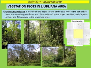 Kutnar flora and_vegetation | PPT