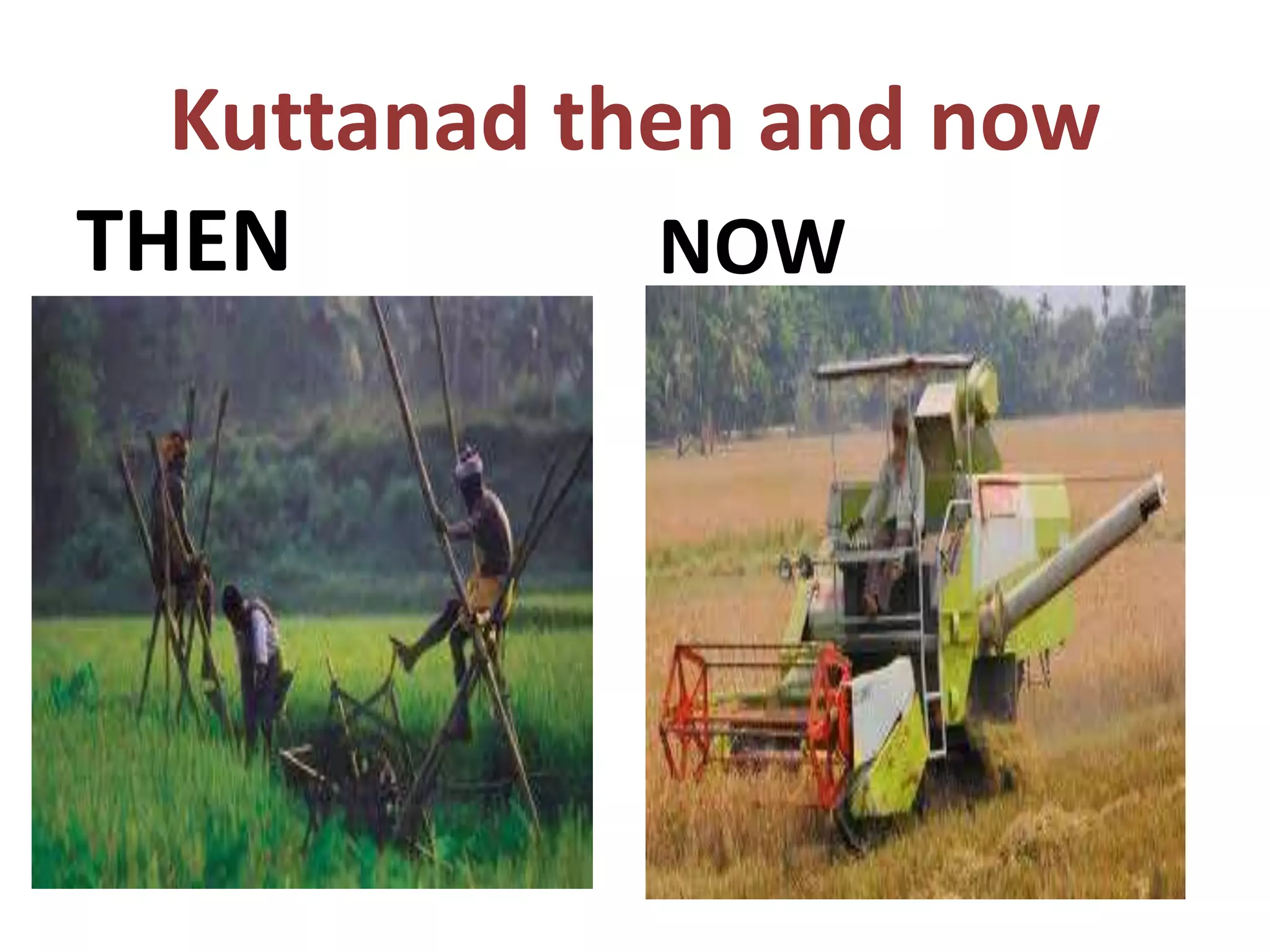 Kuttanad. | PPTX | Agriculture | Industries