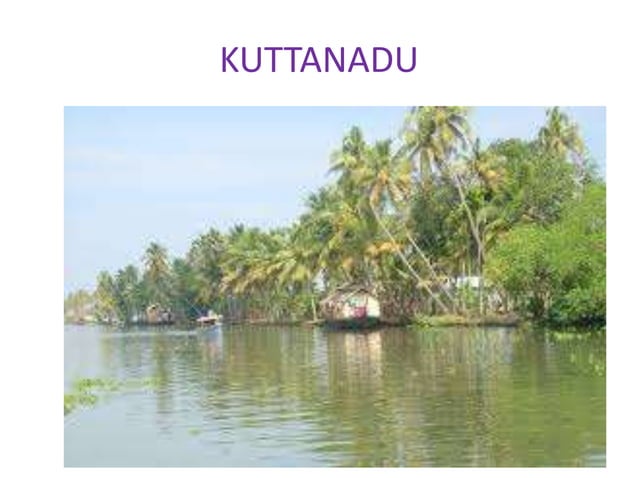 Kuttanad. | PPTX | Agriculture | Industries
