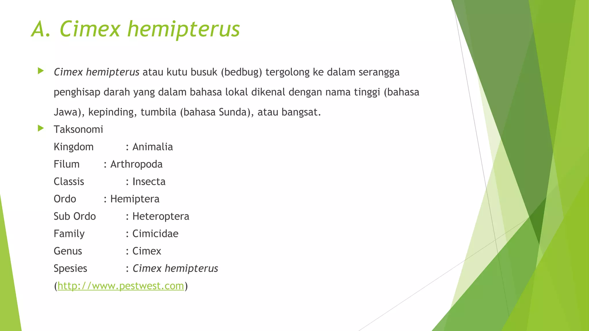 Kutu busuk, kutu kepala, kutu kelamin dan Pengendaliannya | PPT