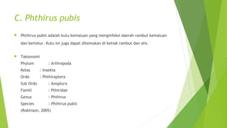 Kutu busuk, kutu kepala, kutu kelamin dan Pengendaliannya | PPT