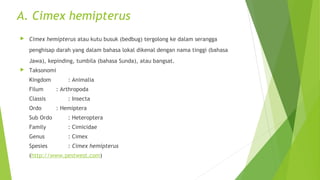 Kutu busuk, kutu kepala, kutu kelamin dan Pengendaliannya | PPT