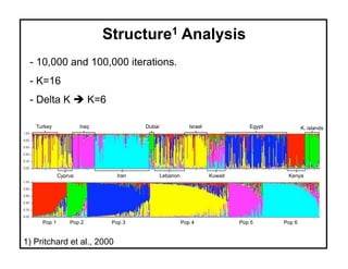 Analysis of Kuwait feral cat population structure | PDF