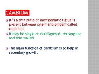 Dr. Harsha Hinge | PPT