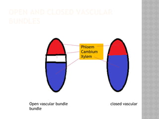 Dr. Harsha Hinge | PPT